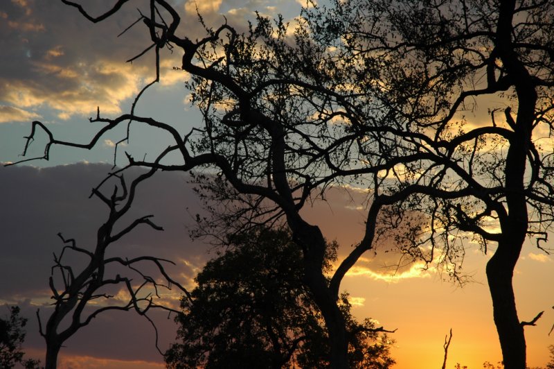 Sunset, South Lungwa, Zambia