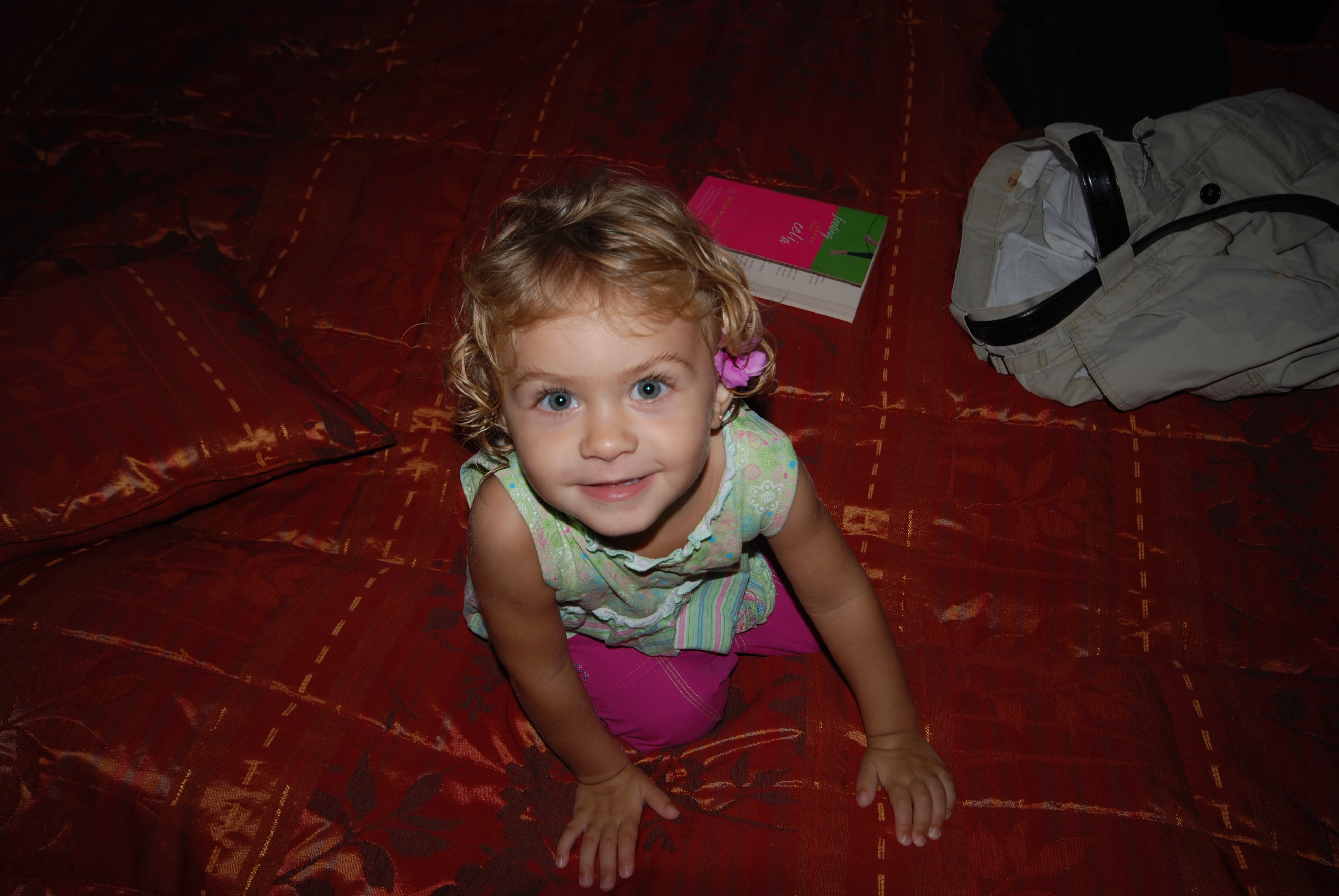 Sint Eustatius (2008)