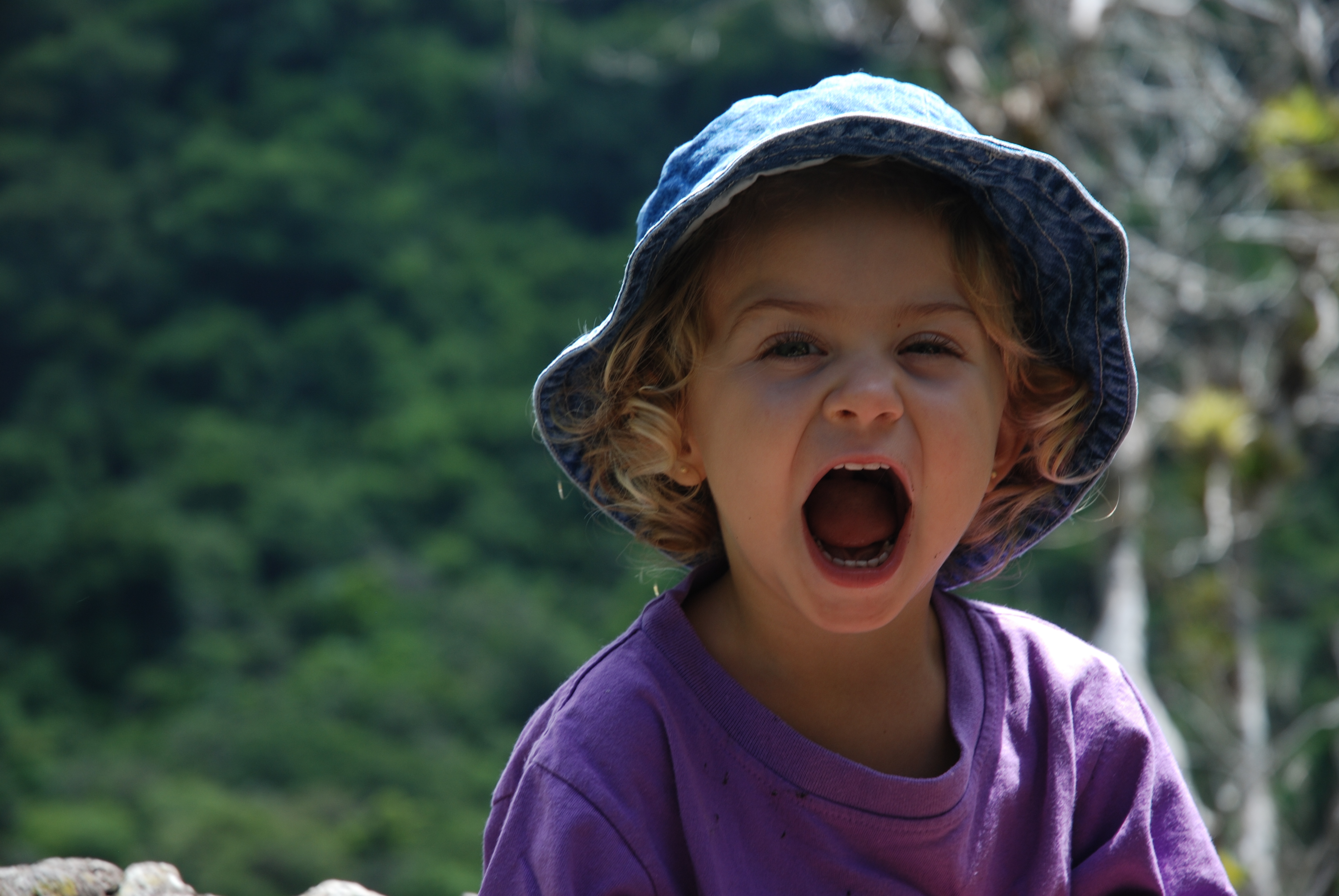 Sint Eustatius (2008)